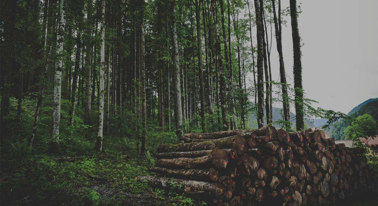 Conflict Resolution Unit – IBCSD