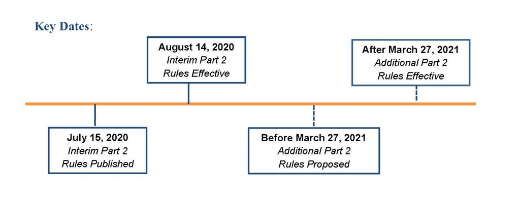 The Practitioner’s Guide to SAMHSA’s 2020 Final Part 2 Rules – More ...