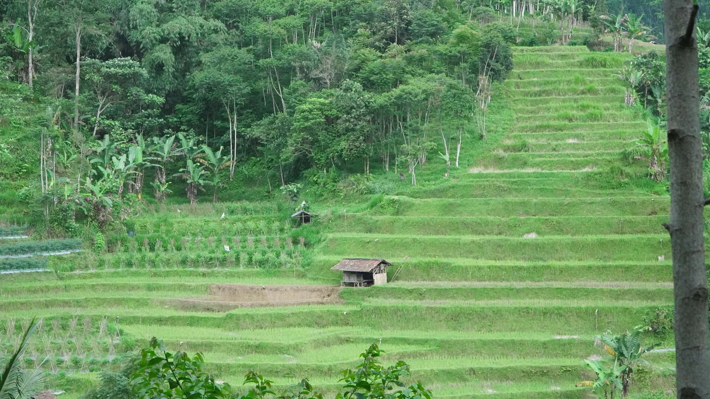 Home - Conflict Resolution Unit