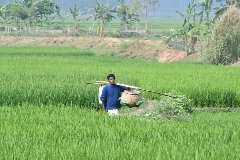 Konflik Agraria Tak Menunggu: Mengapa Pemerintah Daerah Harus Menjadi ...